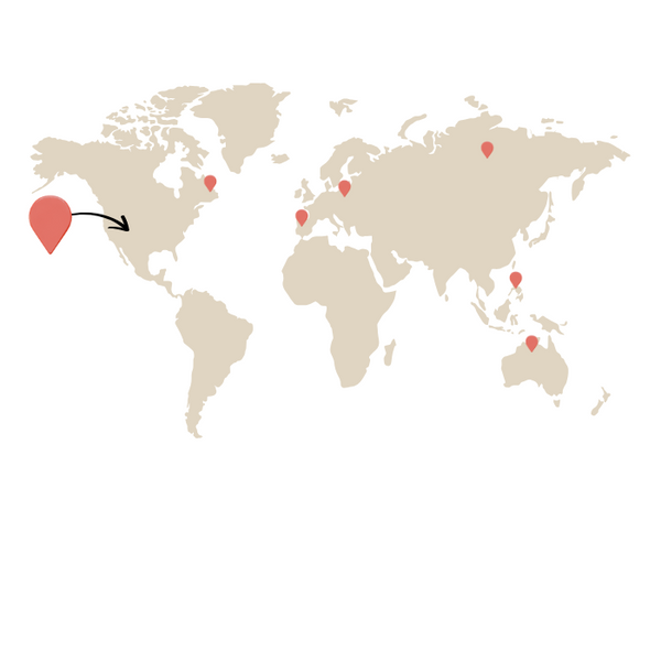 Memoried Smart Canvas